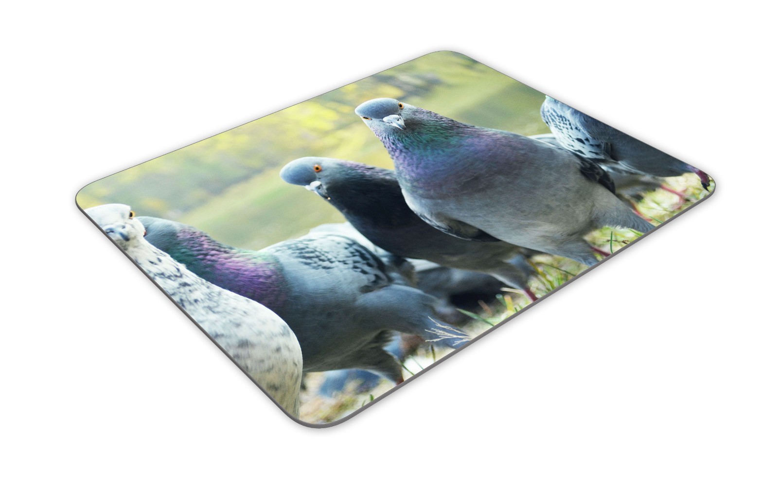 Flock Of Pigeons Homing Carrier Pigeon Mouse Mat Pad - Fun Computer ...