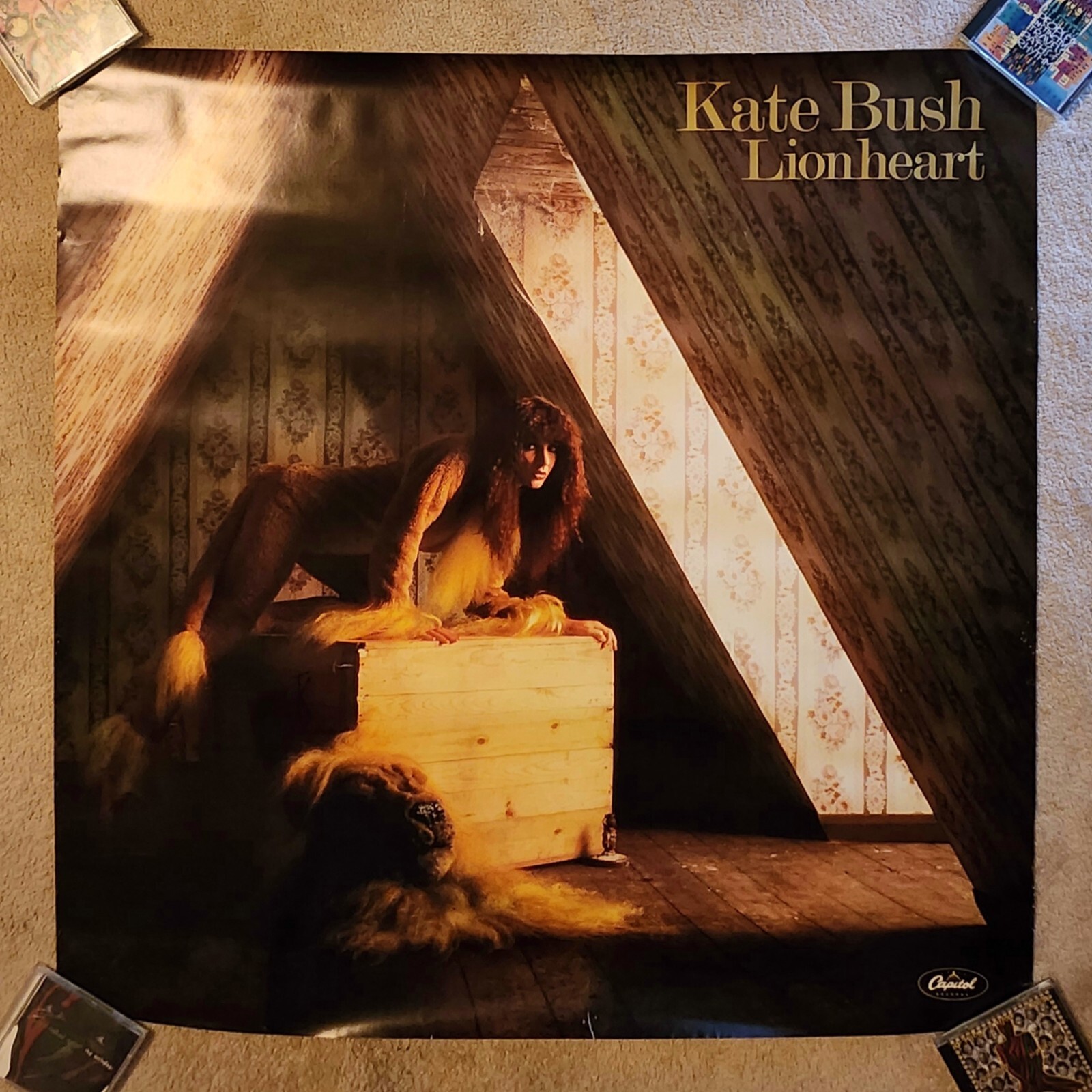 Kate Bush Lionheart 1978 promo poster promotional Rare Original 40x40 ...