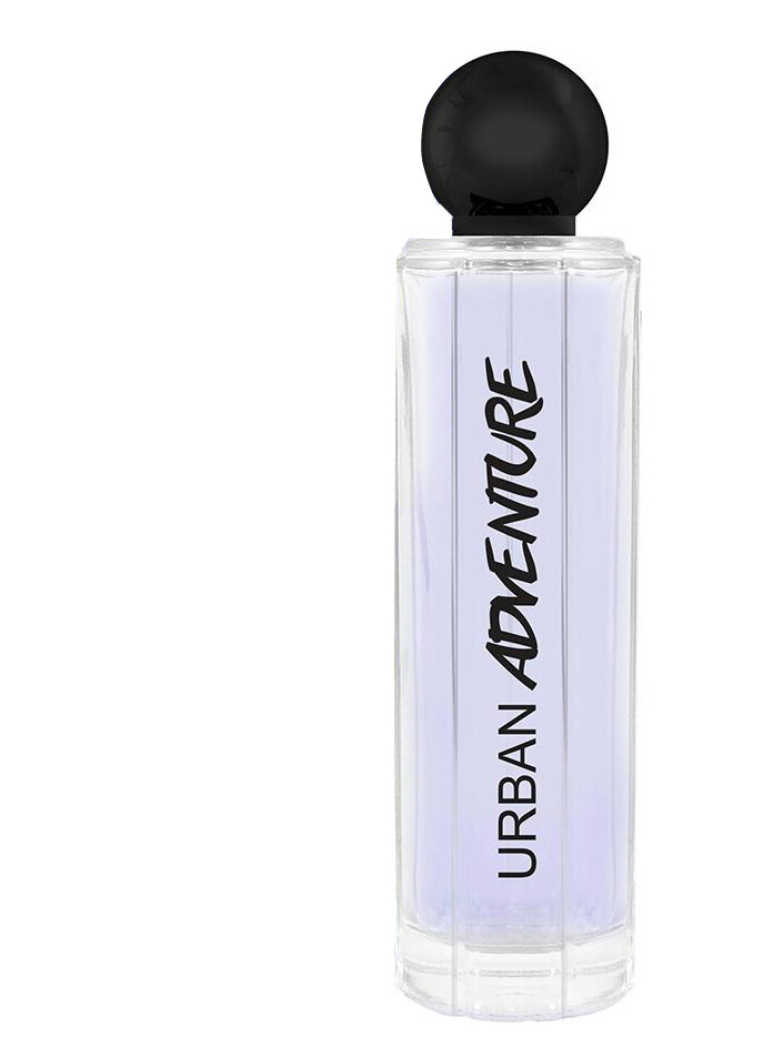 Urban Adventure Perfume for Women EDP Our Impression of DKNY Stories ...