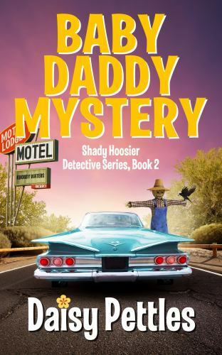 Baby Daddy Mystery: Shady Hoosier Detective Agency [Book 2] [Shady ...
