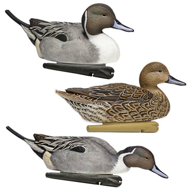 Avian-X Top Flight Pintail Duck Hunting Decoys 8082 for sale online | eBay