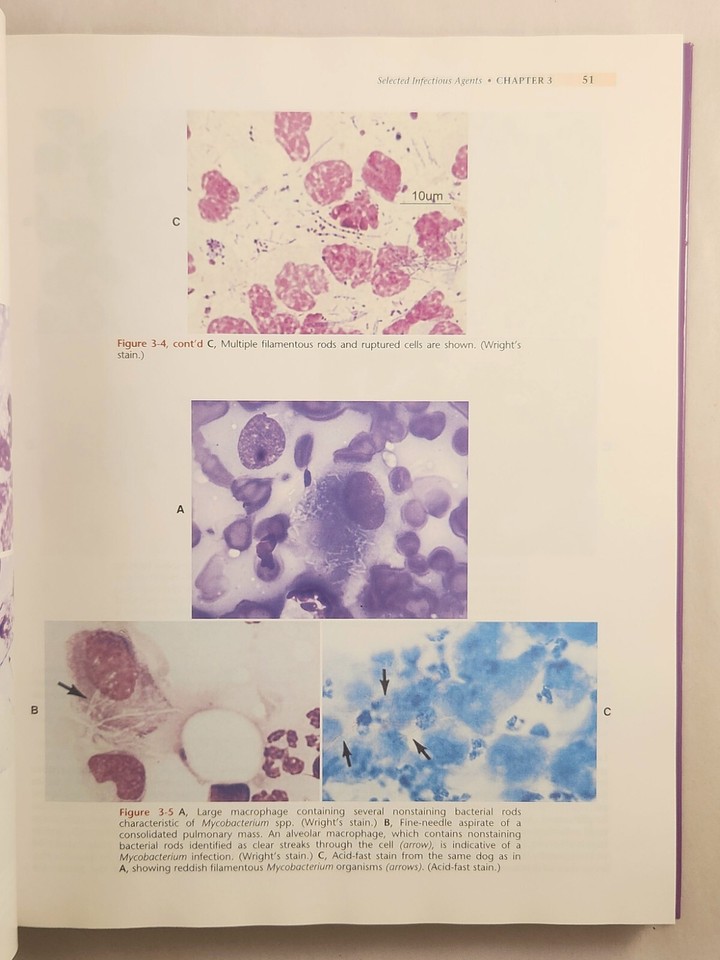 Diagnostic Cytology and Hematology of the Dog and Cat, 3e ...