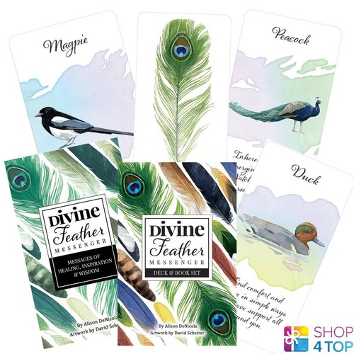 Divine Feather Messenger Oracle Cards Alison Denicola Scheirer US Games ...
