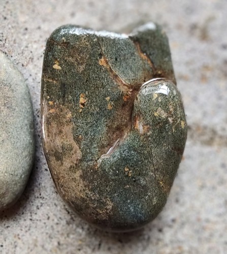 Paleo Prehistoric Stone Age Portable Rock Art Cat Fox Bear Animal ...