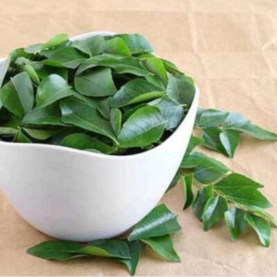 Ceylon Naturally Grown Medicinal Sun-Dried Green Curry Leaves | eBay