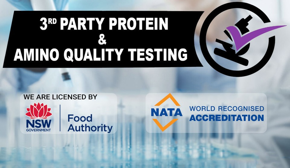 Pure Complete Whey Protein Blend WPI/WPC/Casein Powder - CHOCOLATE (1KG ...