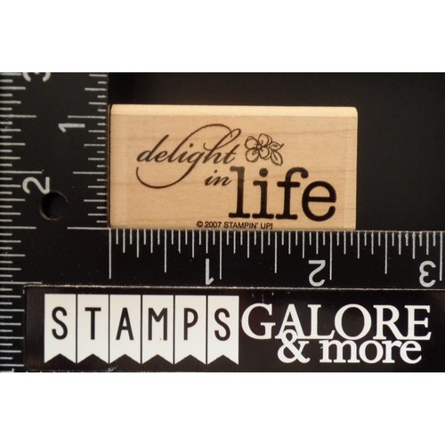 Stampin Up Rubber Stamps 2007 DELIGHT IN LIFE SKETCHED FLOWER SCRIPT ...