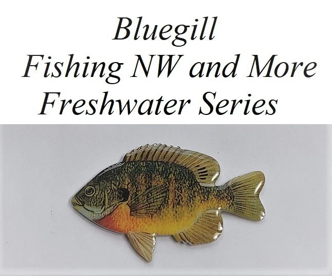 Freshwater Bluegill
