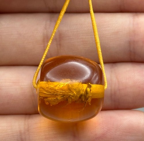 Beautiful ancient amber with fossilized million year old insect Bead | eBay