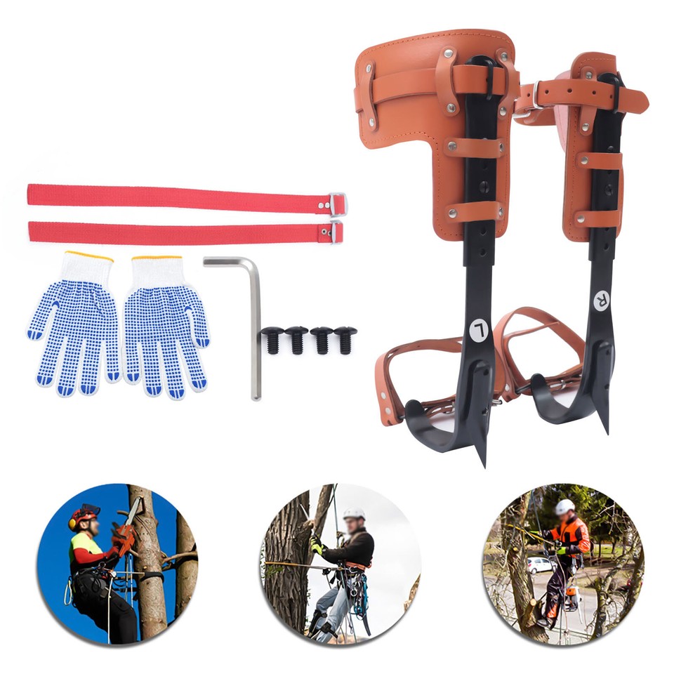 Tree Climbing Spike Set Pole Climbing Spurs Climber Gaffs+Strap ...