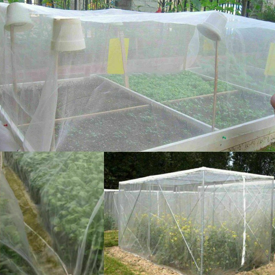 Garden Protect Netting Vegetable Crop Plant Fine Mesh Bird Insect ...