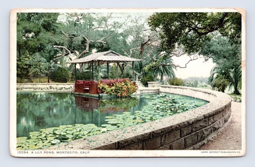 Garden Lily Pond MONTECITO California ~ Antique Santa Barbara County ...