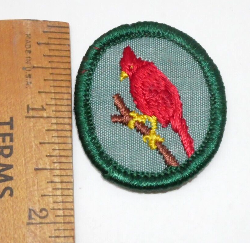 Cub Boy Girl Scout Fun Patch Badge Vintage Cardinal | eBay