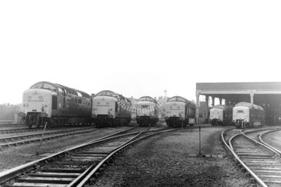 PHOTO BR British Rail Diesel Locomotive Class 55 Deltic 55013 55017 ...