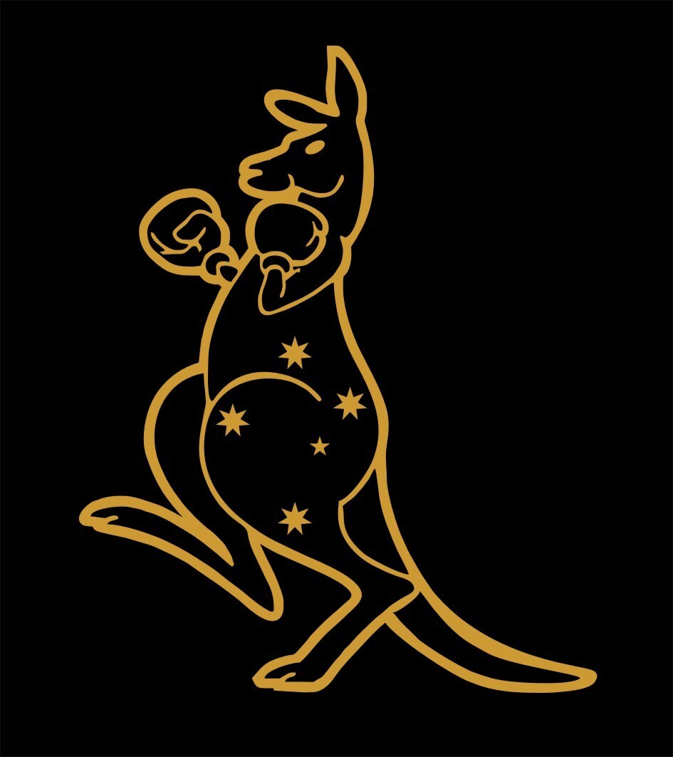 Boxing Roo vinyl decal 190 x 150 mm choose your color | eBay