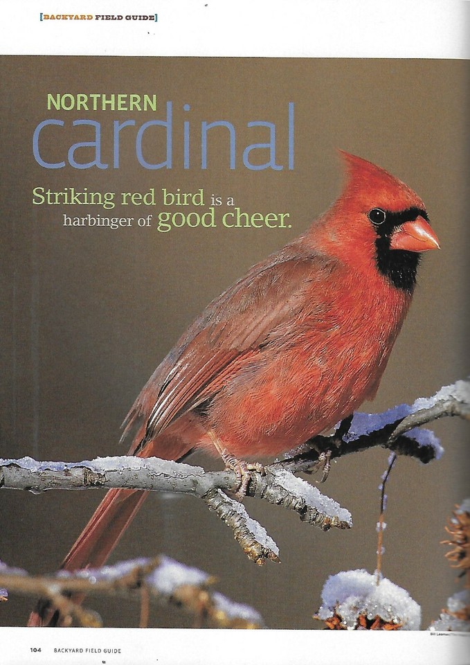 Gardening For Birds And Butterflies Magazine Colorful Plants ...