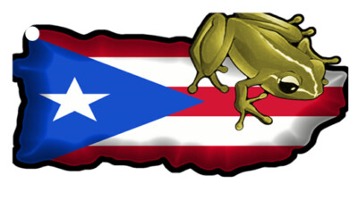 Puerto Rico Flag 4" X 7" ATV Motorcycle License Plate Boricua Coqui ...