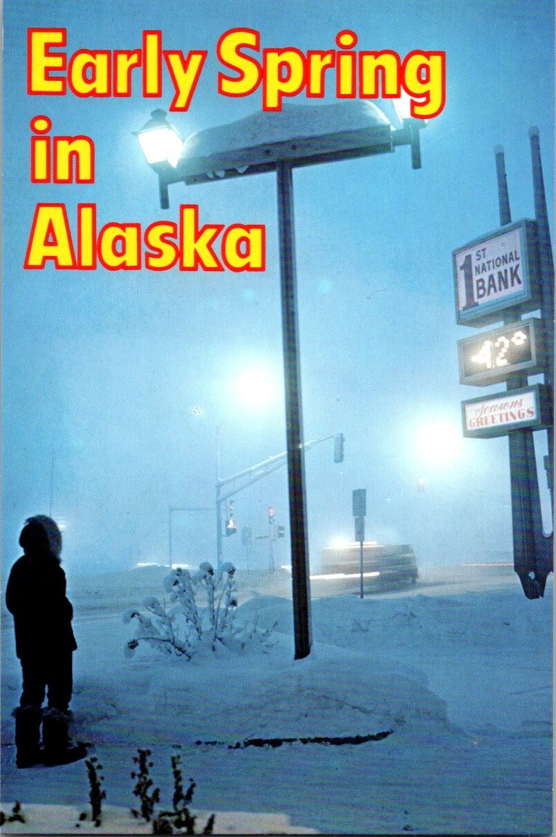 Postcard - Early Spring in Alaska Fairbanks Alaska -42 Degrees Ice Fog ...