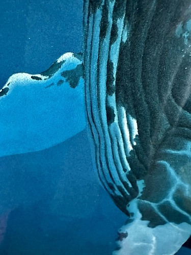 Don McMichael Whale Serigraph “ SEABORNE” Signed, Numbered 89/450 ...