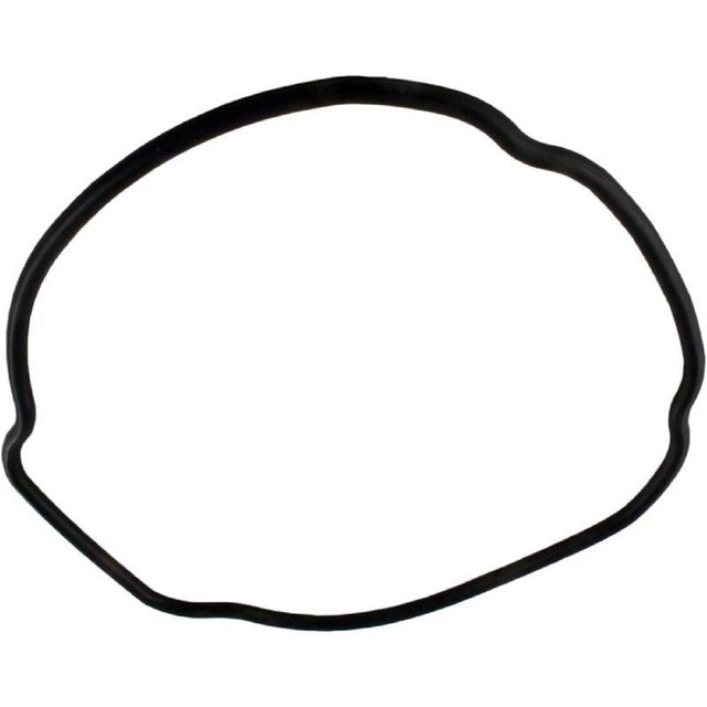 Hayward Strainer Cover Kit (SPX3200DLS) for sale online | eBay