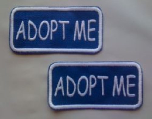 Two Blue Embroidered Sew-On Patch - 2 x 4" ADOPT ME | eBay