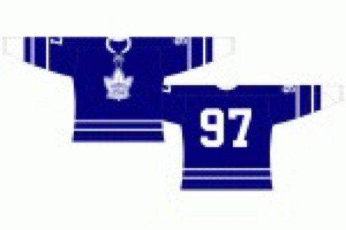 b Toronto Maple Leafs NHL Hockey Logo Poster Art Print 12x8in Metal ...