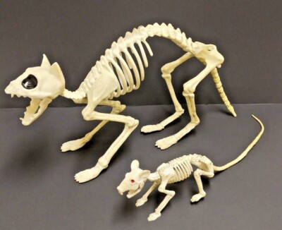 Halloween Cat And Rat Skeletons Decorating Fun Rubber Poseable | eBay