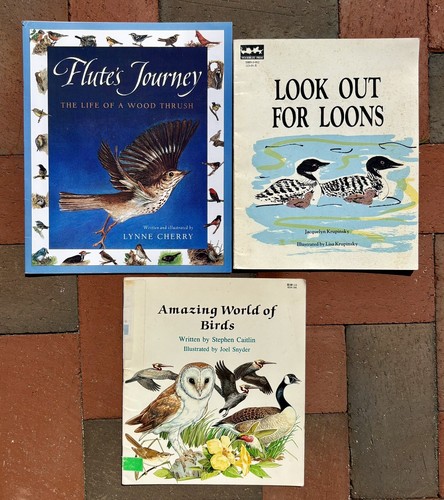 3 Nature Bird Birds Eggs Loon Flute’s Journey Wood Thrush | eBay