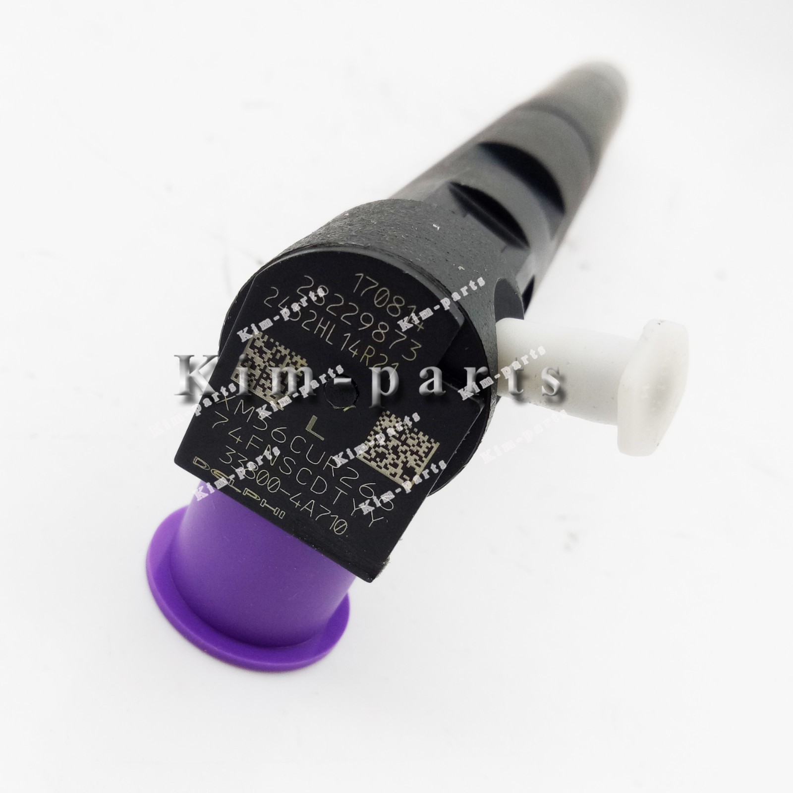 Delphi Common Rail Injector 28229873 33800-4a710 for HYUNDAI KIA ...