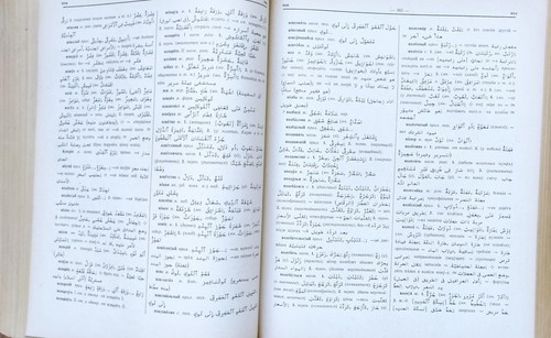 РУССКО-АРАБСКИЙ СЛОВАРЬ RUSSIAN-ARABIC DICTIONARY 42 000 СЛОВ | eBay