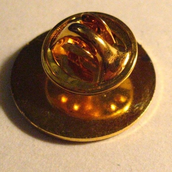 Continuing Witness Training Lapel Pin - Vintage Baptist Church ...