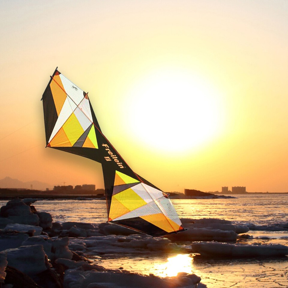 Professional Stunt Kite Quad Line Versatility Outdoor Kitesurfing ...