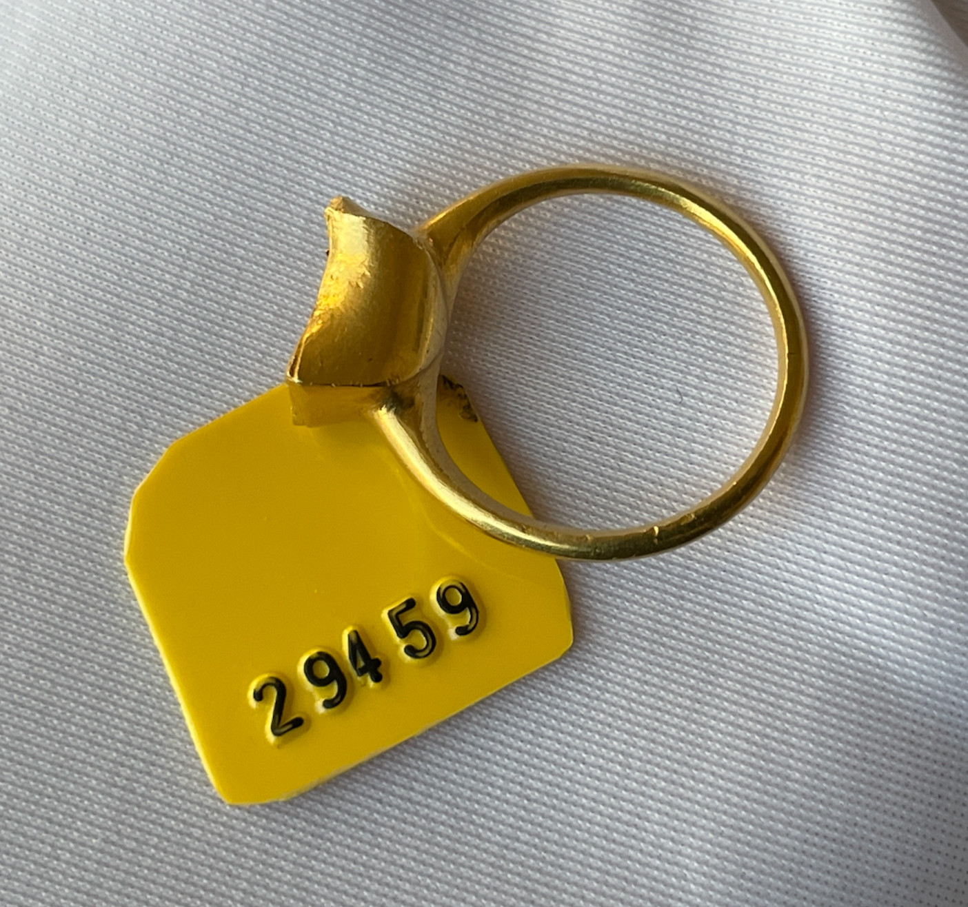 ATOCHA 1622 EMERALD SHIPWRECK RING! MEL FISHER COA & … - Gem