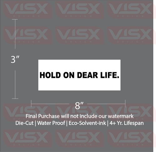 Hold on dear life Bumper Sticker Decal Driver Funny Meme Accident Car ...