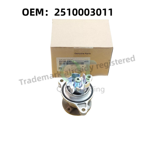 Genuine Engine Water Pump 25100-03011 for Hyundai accent i20 Kia Rio 1 ...