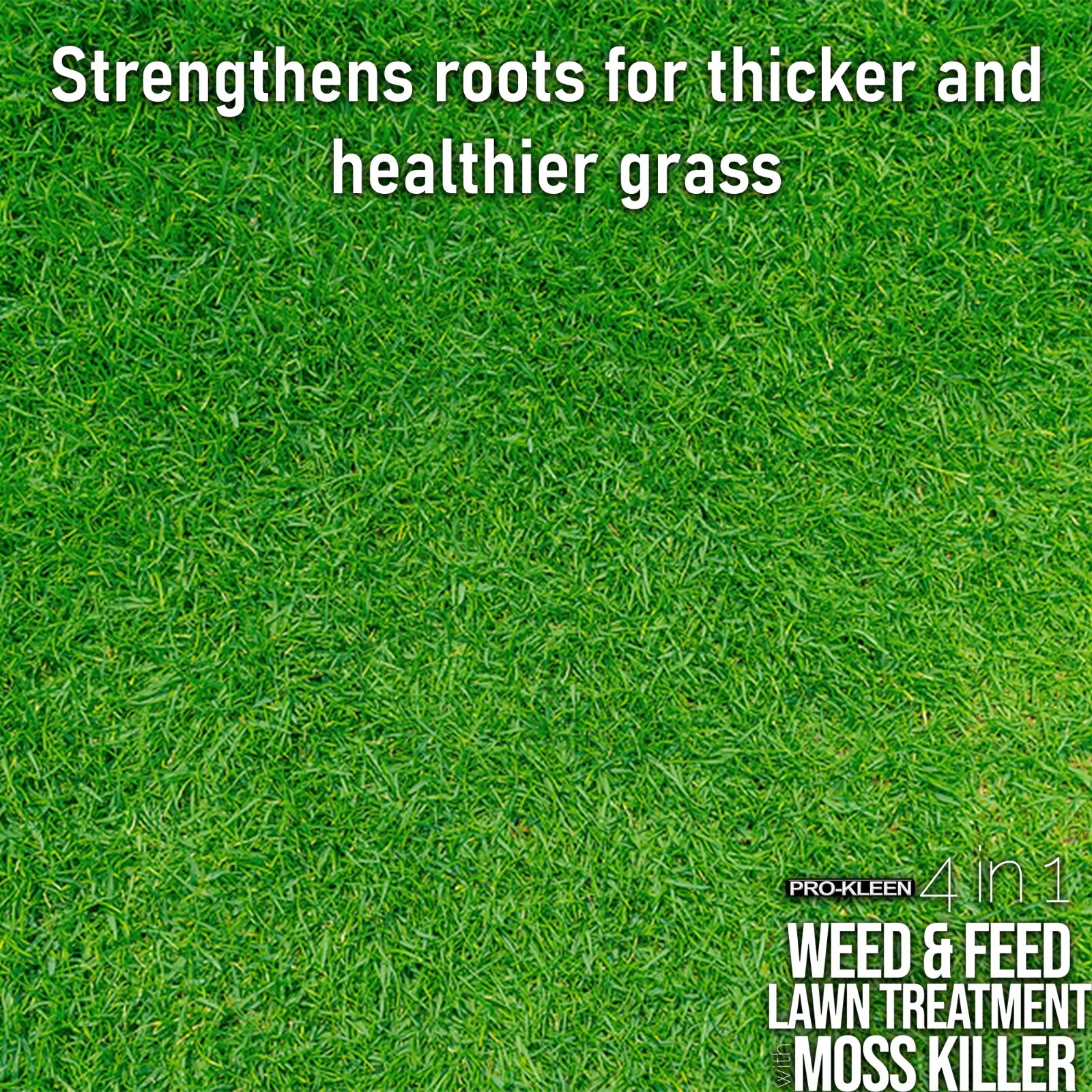 ProKleen Weed & Lawn Feed Moss Killer Treatment Fertiliser NPK Iron ...