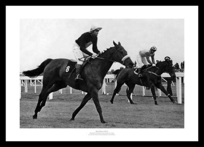 Red Rum First Grand National Win 1973 Horse Racing Photo Memorabilia ...