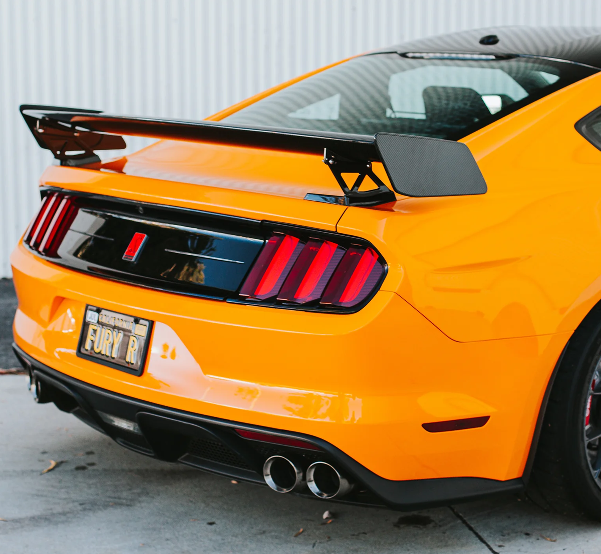 Shelby Mustang Gt Rear 2019 Ford Mustang Shelby GT S Is A Rental Car