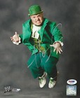 Hornswoggle Signed 8x10 Photo PSA/DNA COA Picture WWE Wrestling ...