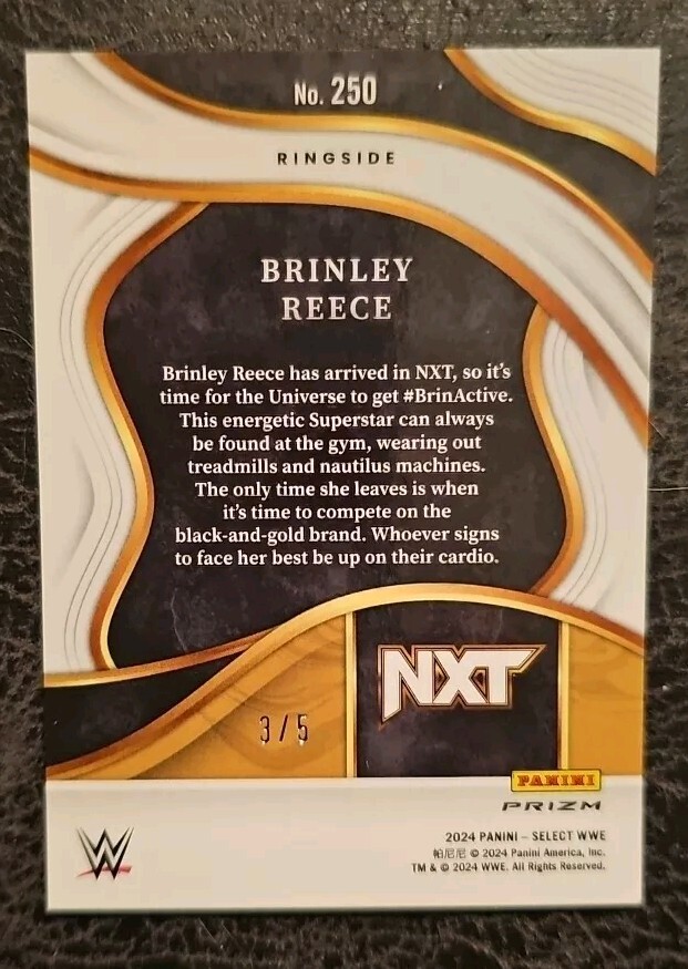 Brinley Reece 2024 Panini Select WWE GREEN PRIZM RINGSIDE Rookie #250 ...
