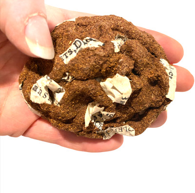 HIGH QUALITY Fake Dog Poop Poo Realistic Doggy Doo Doo Joke Gag - Paper ...