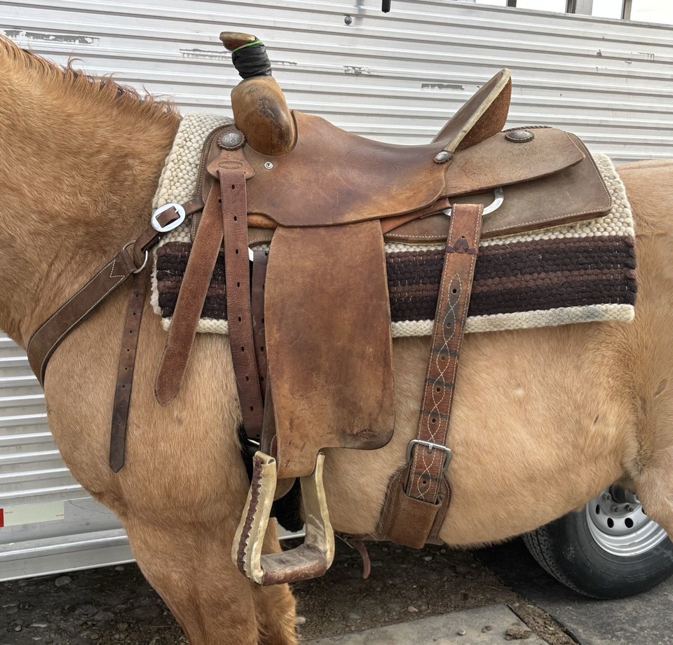 Capital Saddlery Rough out Roping saddle | eBay