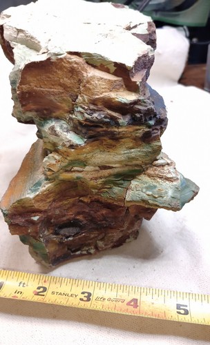 🔥5.5 Pound Larsonite Chunk McDermitt NV Bog Petrified Wood Green ...