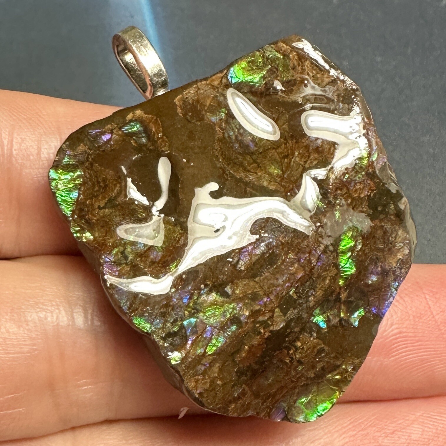 Natural Canadian Ammonite Freeform Gemstone Pendant 36X33X9 mm MM #3003 ...