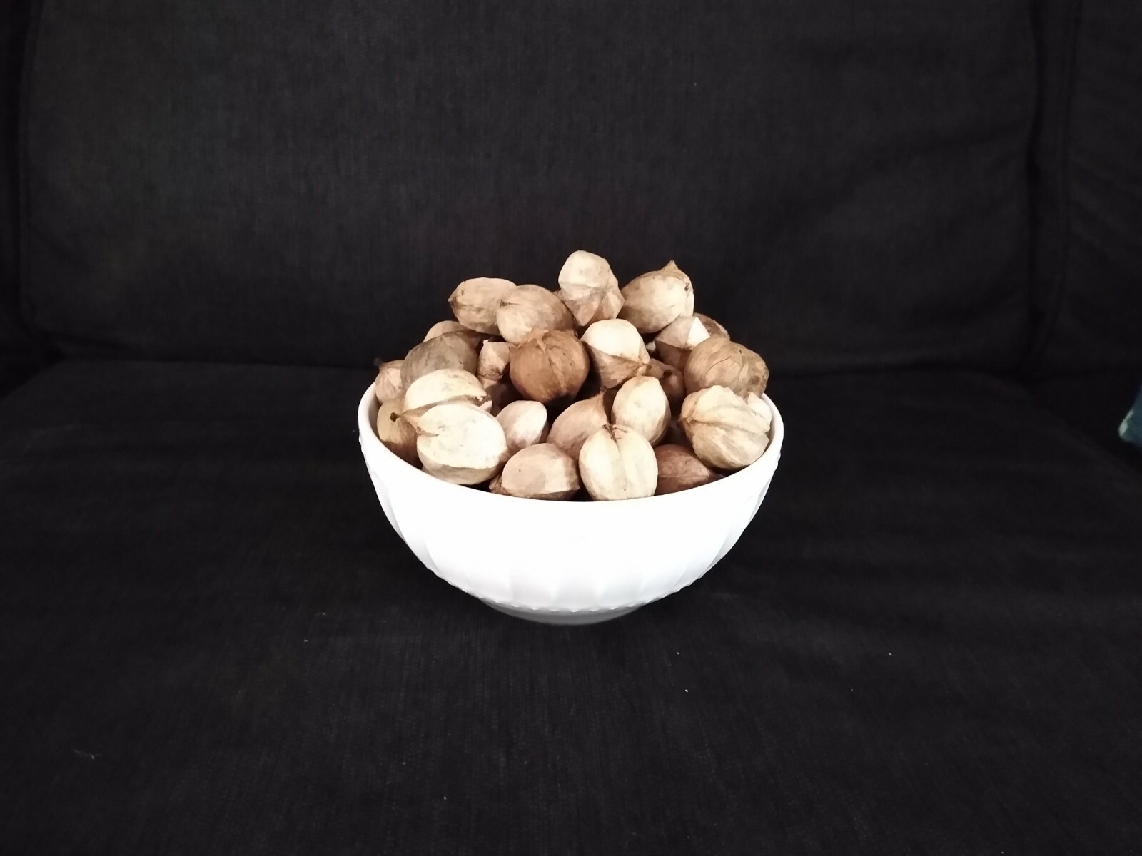 (2LB) Cracked Hickory Nuts: Wild, Organic, Kentucky Shagbark ...