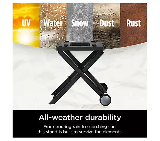 Ninja Woodfire Collapsible Grill Stand | eBay