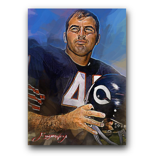Brian Piccolo #11 Art Card Limited 28/50 Edward Vela Signed (Chicago ...