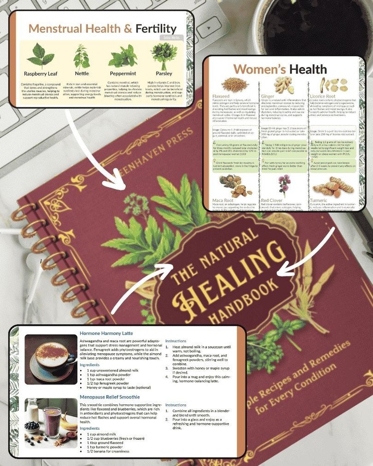 The Natural Healing Handbook, Spiral-Bound Guide For Herbal Remedies ...