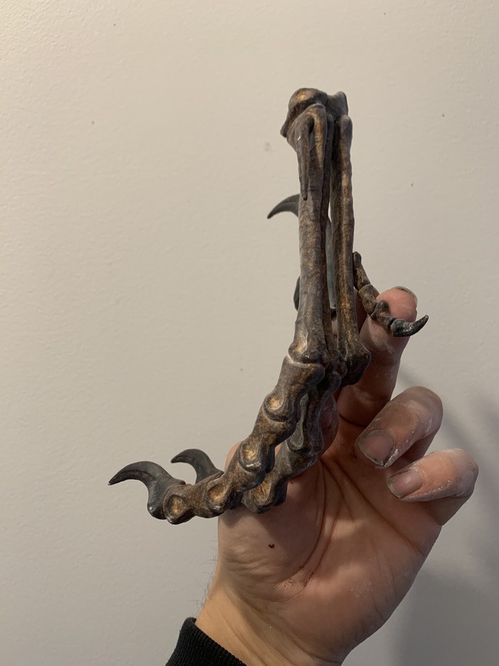 Velociraptor Replica Paw Claw Dinosaur Raptor Dinosaur Fossil Paw | eBay