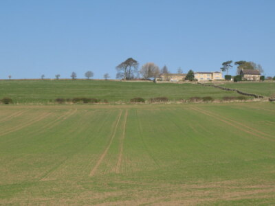 Photo 6x4 Farmland south of Holly Hall Sandhoe c2009 | eBay UK